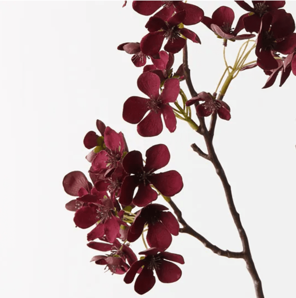Begonia Spray – Haven & Space Berry