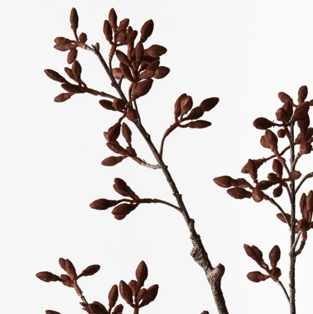 Simplex Seed Spray – Haven & Space Berry